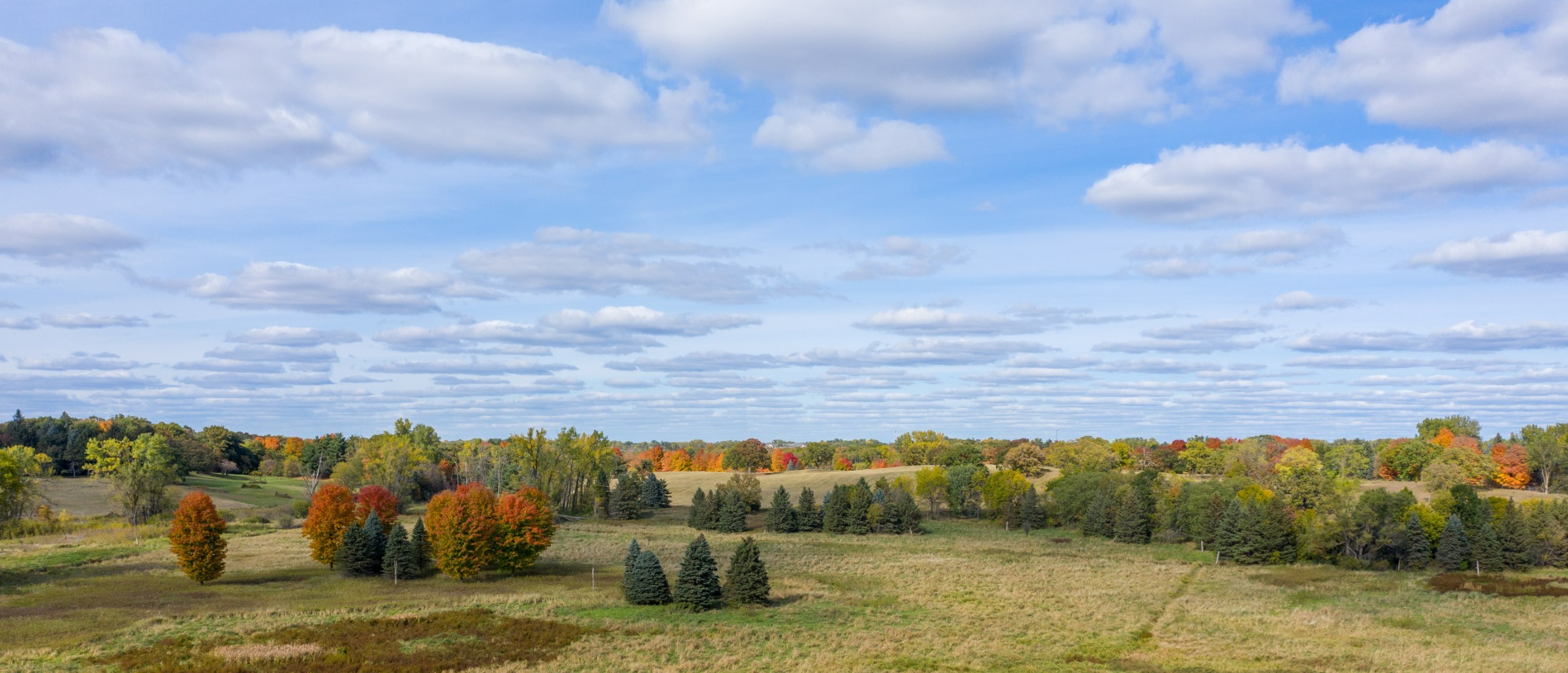 Home | North Oaks Company